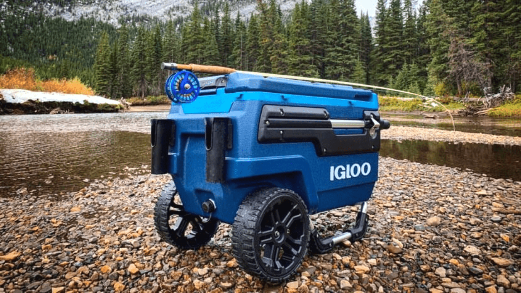 The Best Camping Coolers for Rugged Adventures - The Guys Gear Guide