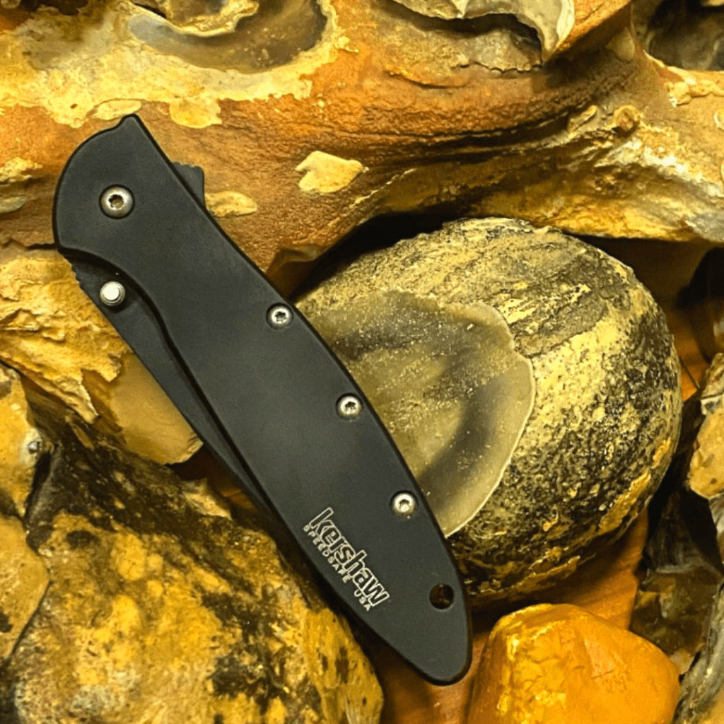 Kershaw Ken Onion Leek – The Guys Gear Guide